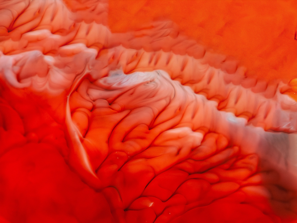 Bridging Course for the AMC Clinical Exam (IM201) – Institute of ...